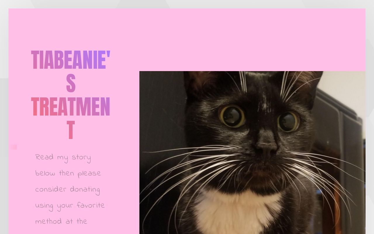 Beanie's Page
